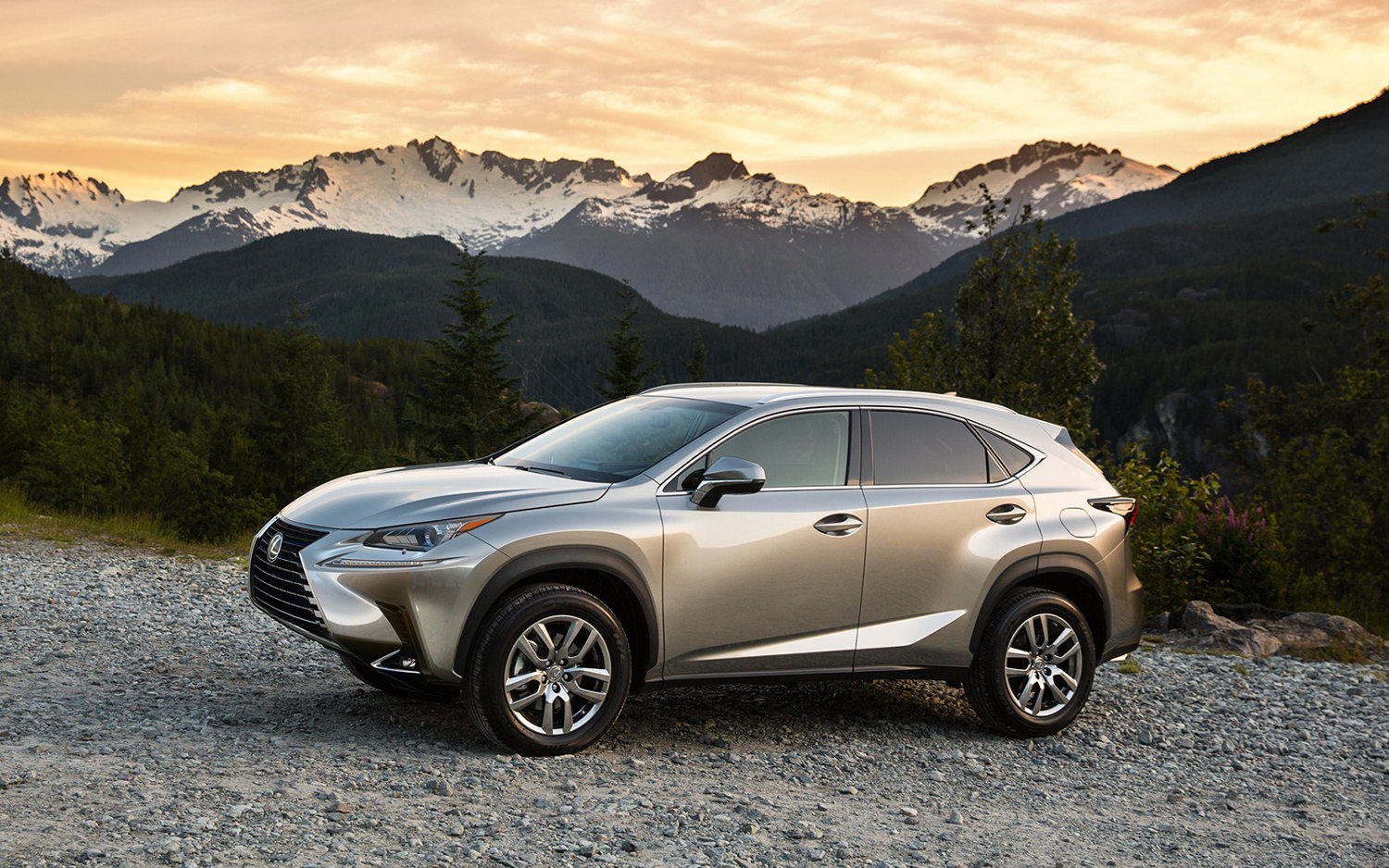 51 Best Photos Lexus Nx Sport 2019 - Lexus NX 300h F Sport 2019 Review - OzRoamer | nosyracingmgl